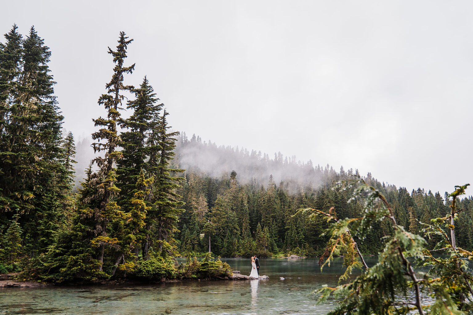Adventurous Mt Rainier Wedding in the Summer - Between the Pine