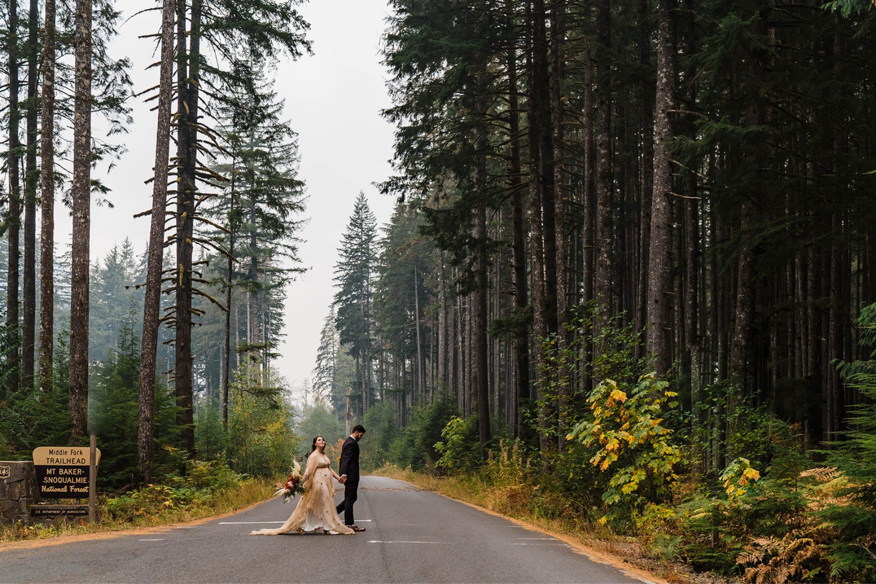 Best Places For Your Seattle Elopement - Between the Pine