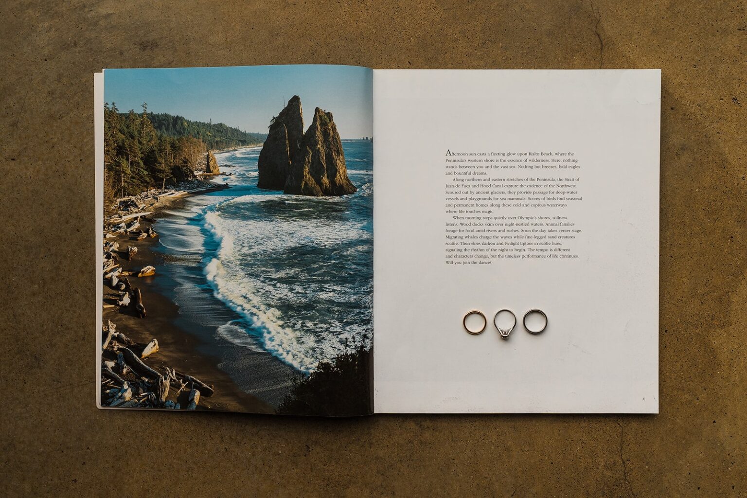 Moody Spring Elopement in Washington State - Between the Pine