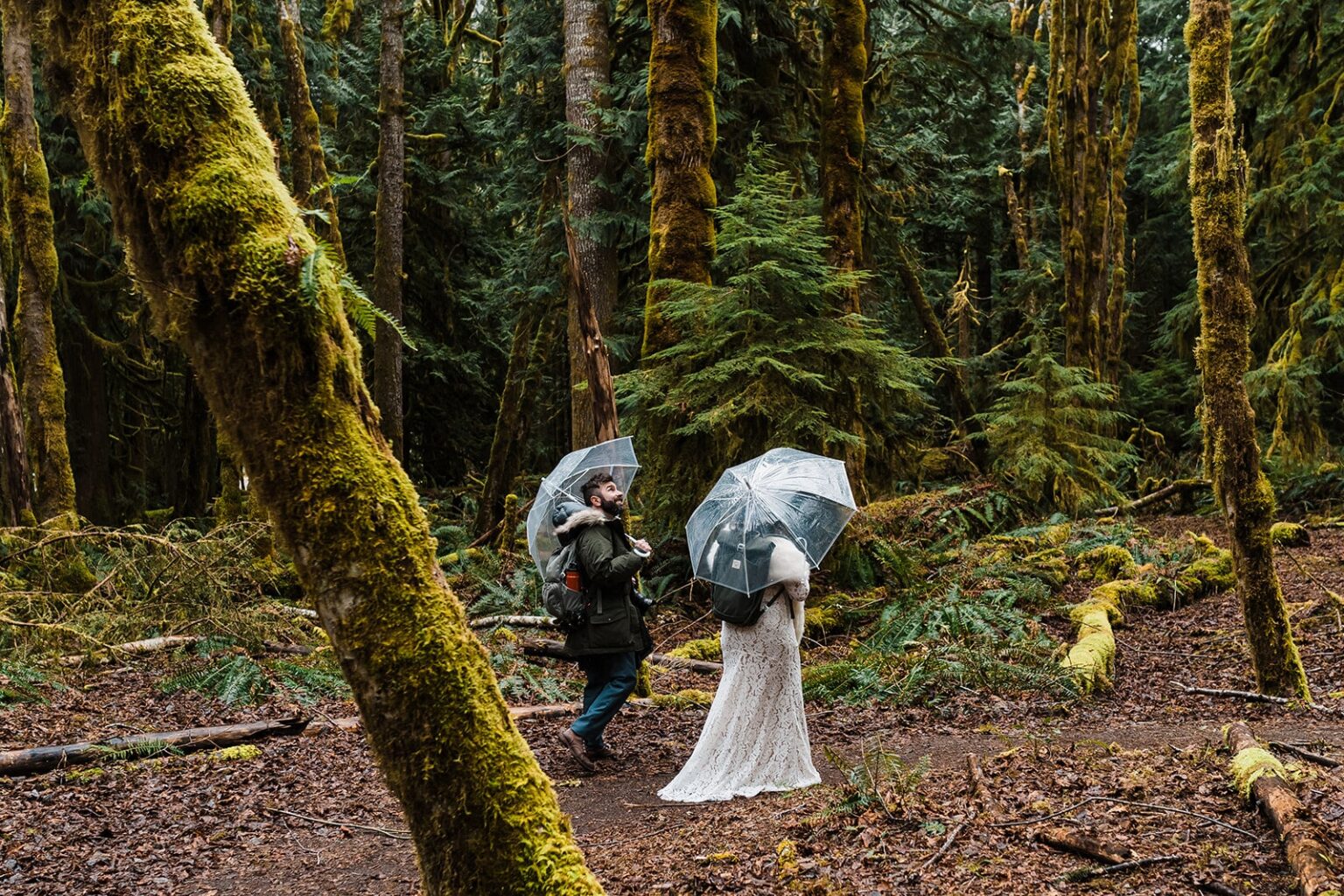 Moody Spring Elopement in Washington State - Between the Pine