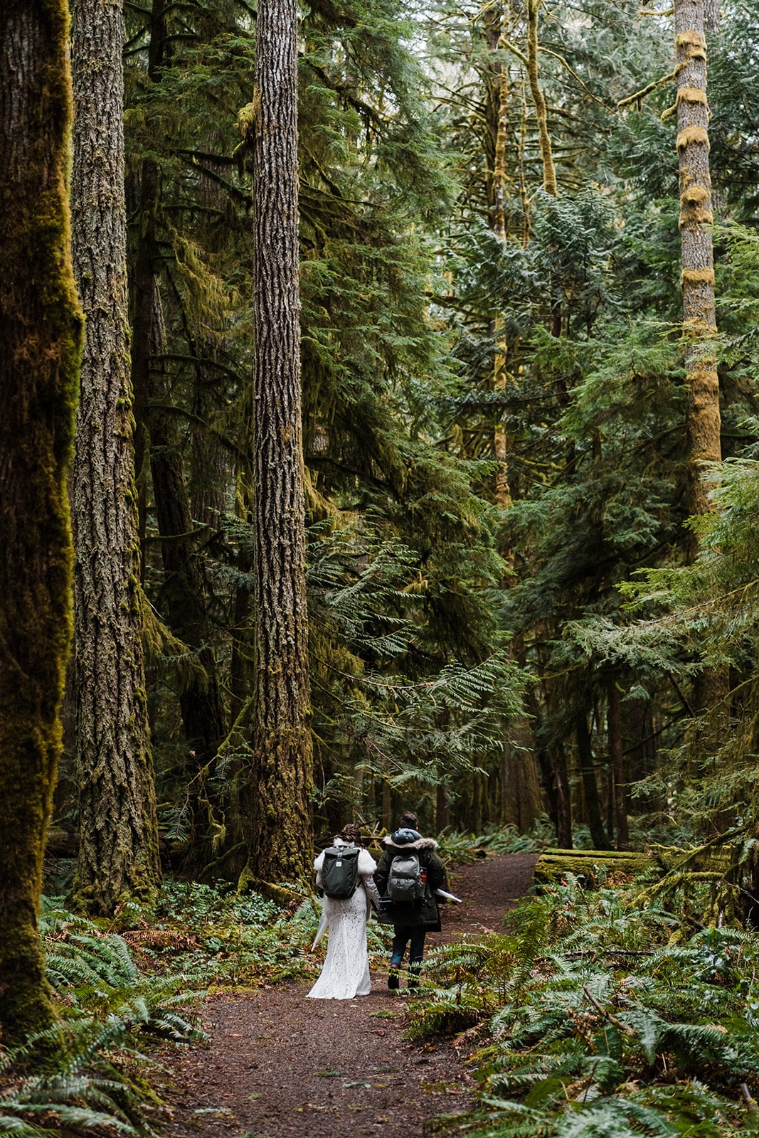 Moody Spring Elopement in Washington State - Between the Pine
