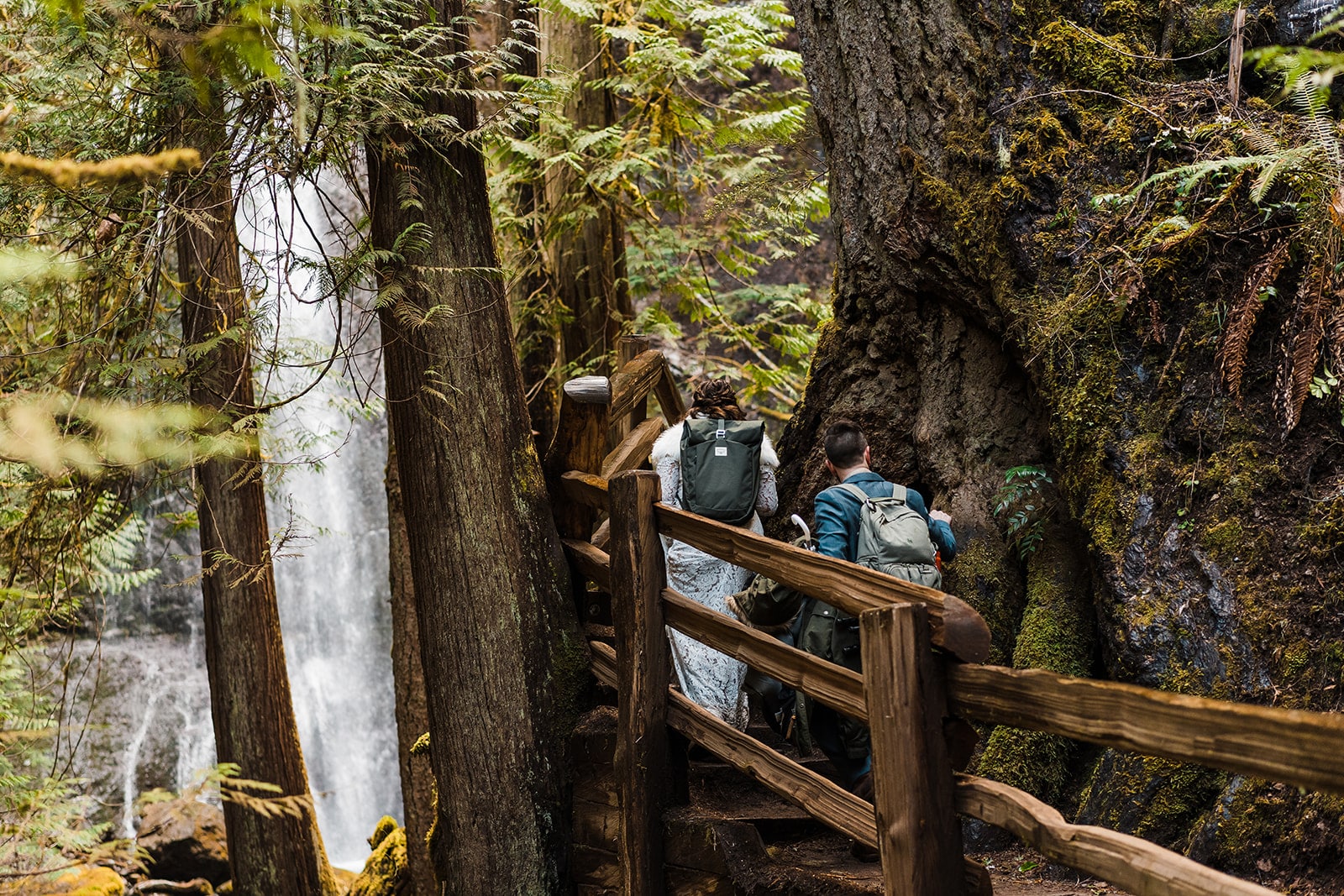 Moody Spring Elopement in Washington State - Between the Pine