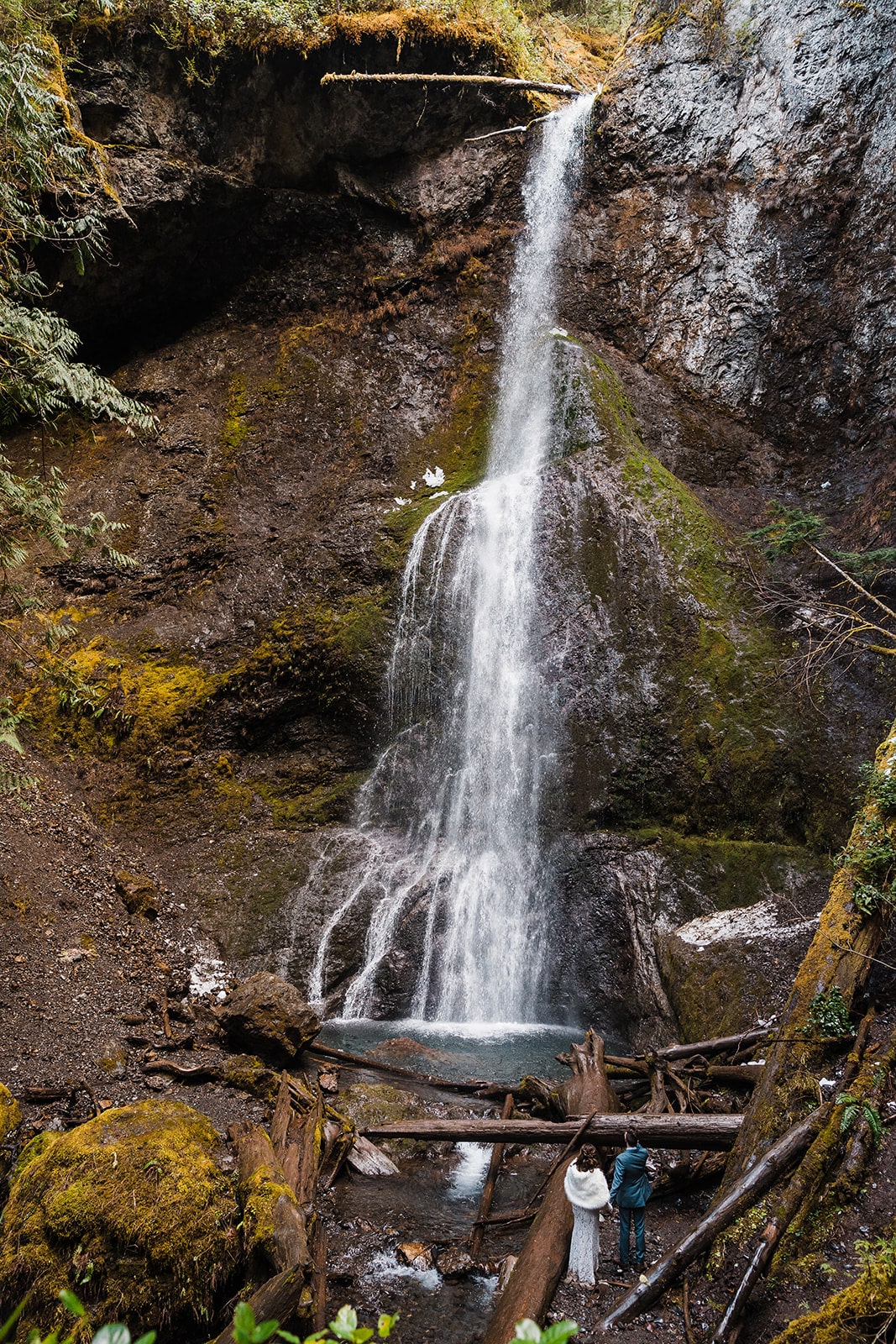 Moody Spring Elopement in Washington State - Between the Pine