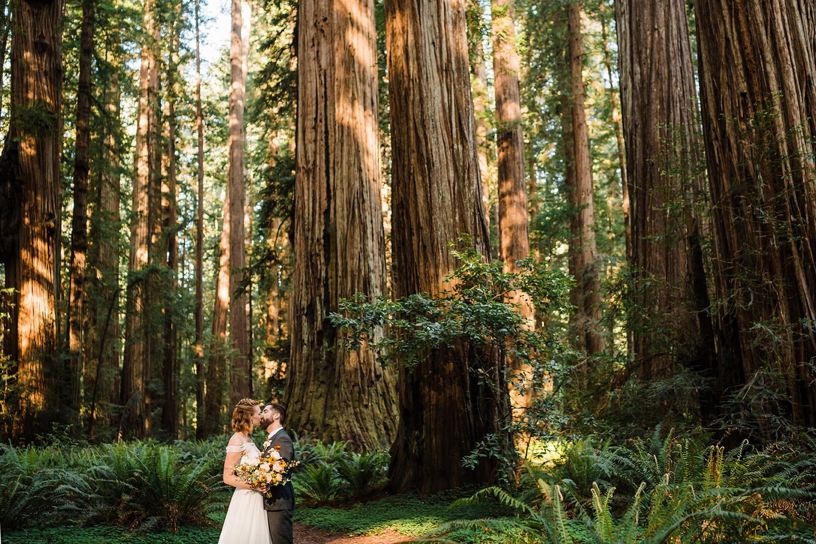 Jaw-Dropping Redwoods Elopement - Between the Pine