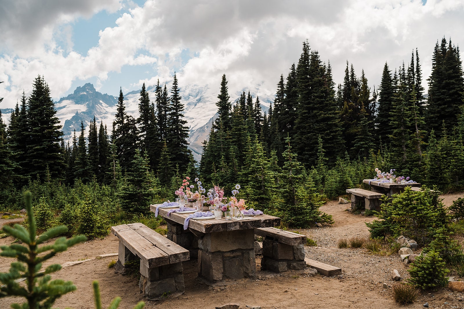 Stunning Mount Rainier Wedding - Between the Pine